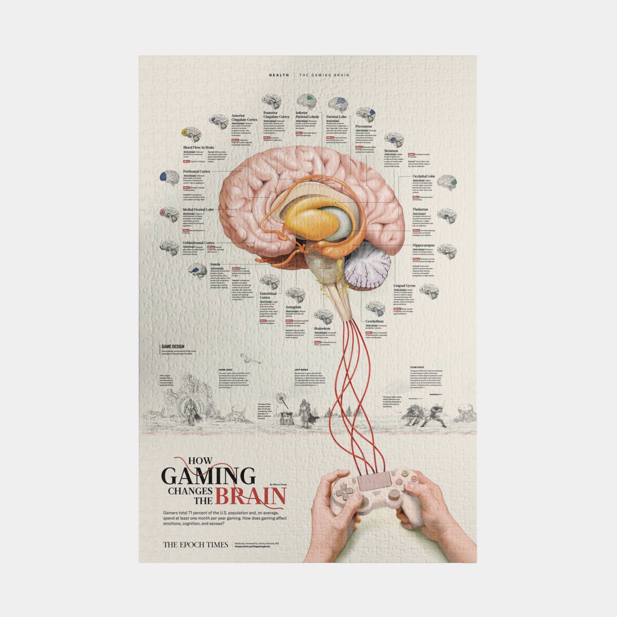 How Gaming Changes the Brain Puzzle – The Epoch Times Shop